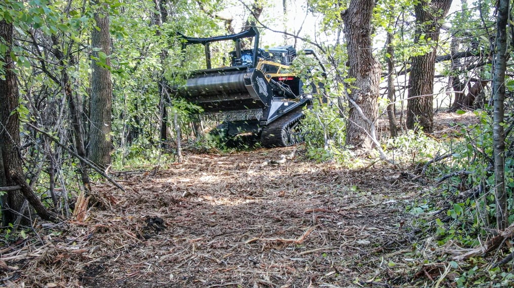 Efficient Vegetation Management for Effective Storm Cleanup